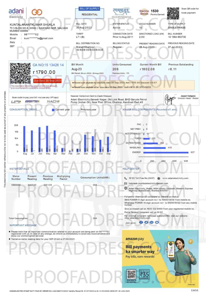 Order Editing utility bill Adani electricity Instant Delivery Custom info