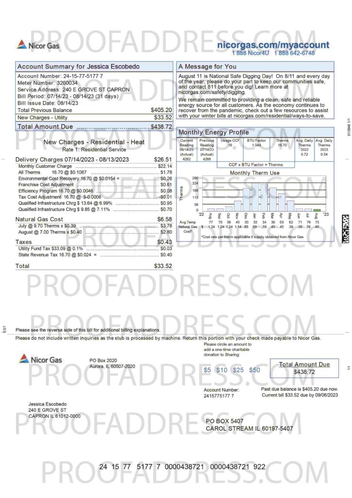 Order Editing utility bill Nicor gas Instant Delivery Custom info